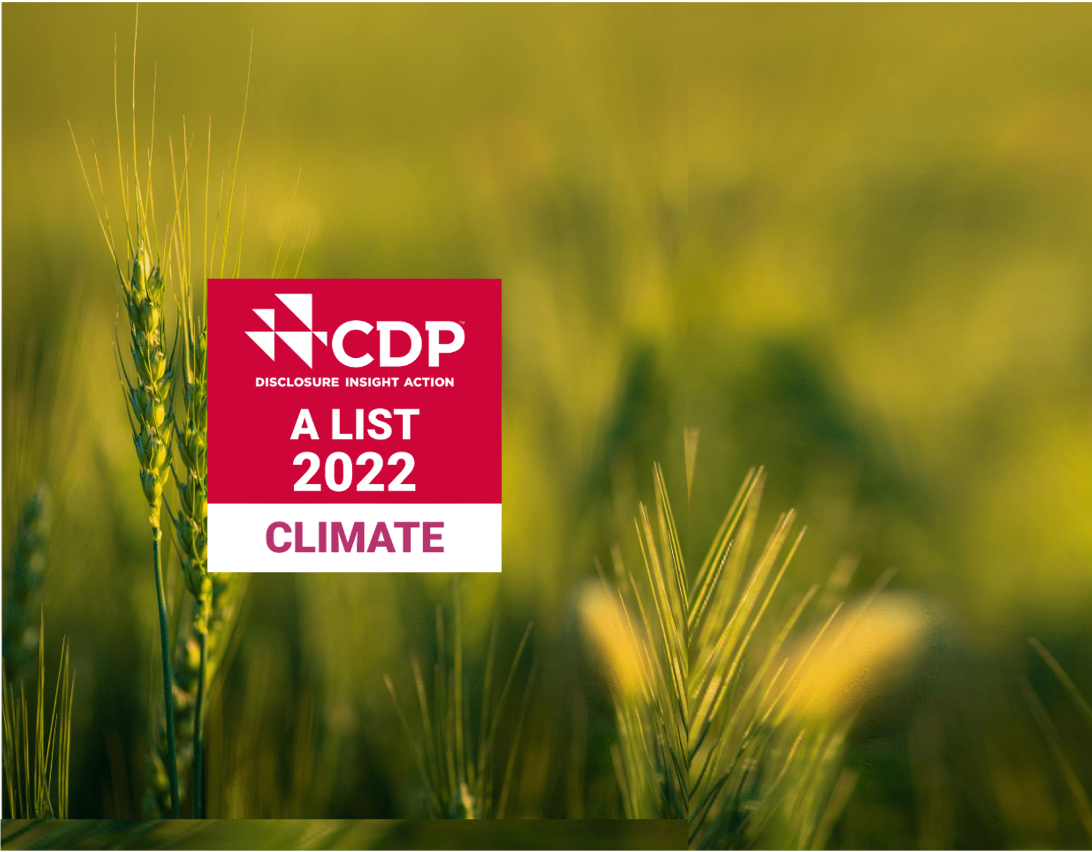 Italgas recognized with ‘A’ score for transparency on climate change by ...